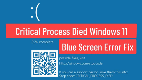 خطای "Critical Process Died" چیست؟ - خدمات و پشتیبانی شبکه